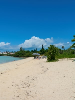 Somerset Long Bay Park and Nature Reserve – Somerset Long Bay