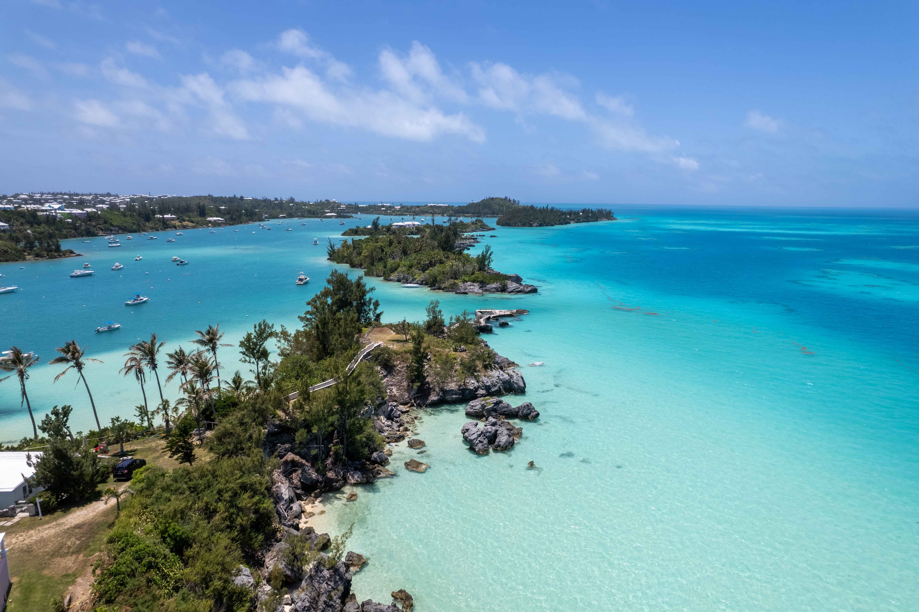 8 Eco-Friendly Bermuda Businesses | Go To Bermuda