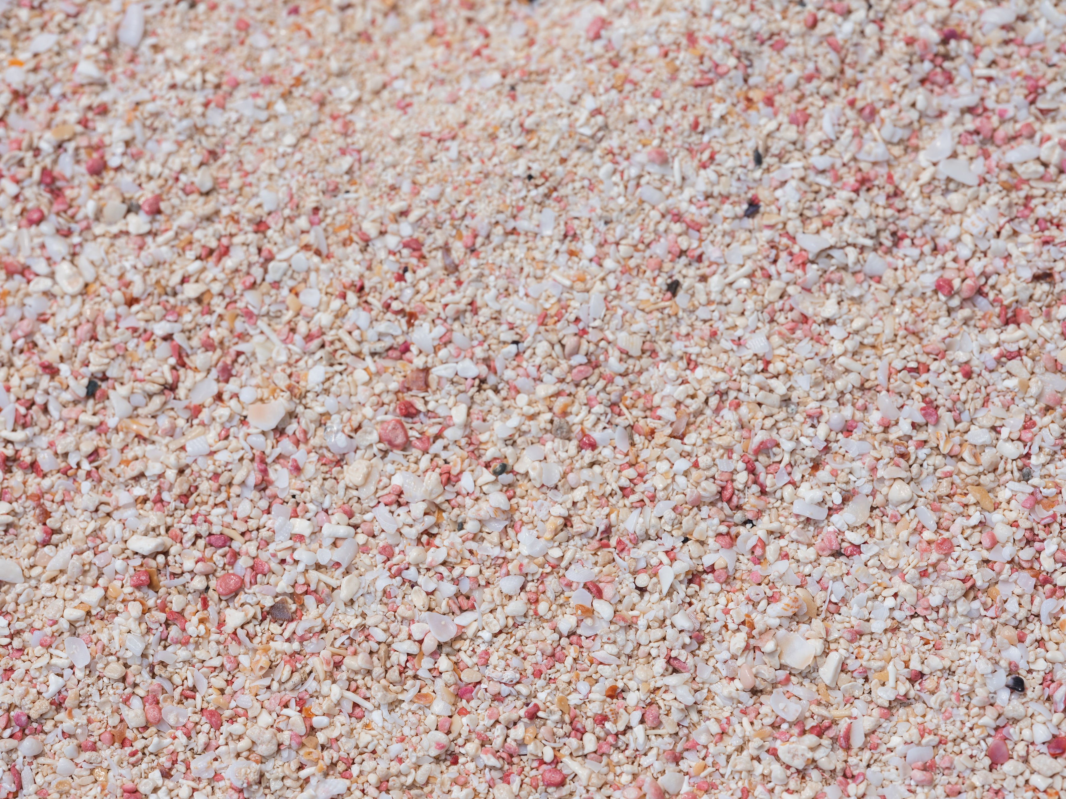 Why Bermuda Has Pink Sand | Go To Bermuda